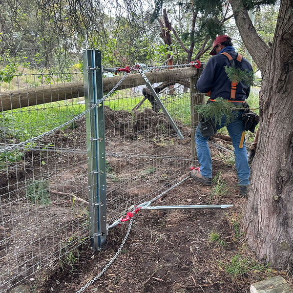 Chain Grab Boundary Strainer – Wireman