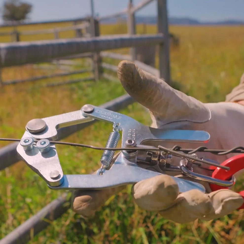 Best of Both Worlds COMPLETE - StraineX & Walker – Wireman